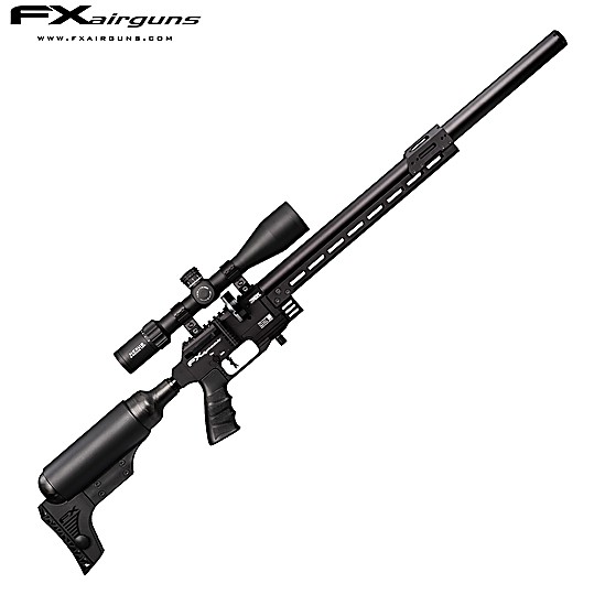 Achetez en ligne Carabine PCP FX Dynamic Express 600 de la FX AIRGUNS ...