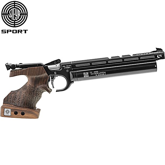 Achetez en ligne Pistolet PCP Steyr EVO 10 Black de la STEYR SPORT ...
